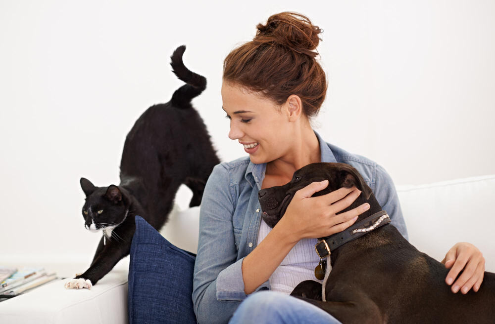Cuidar de un perro o gato ayuda mejorar el bienestar emocional y físico ...